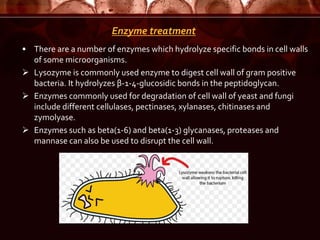 Cell disruption ppt | PPTX