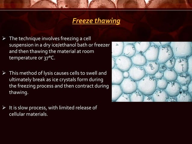 Cell disruption ppt | PPT