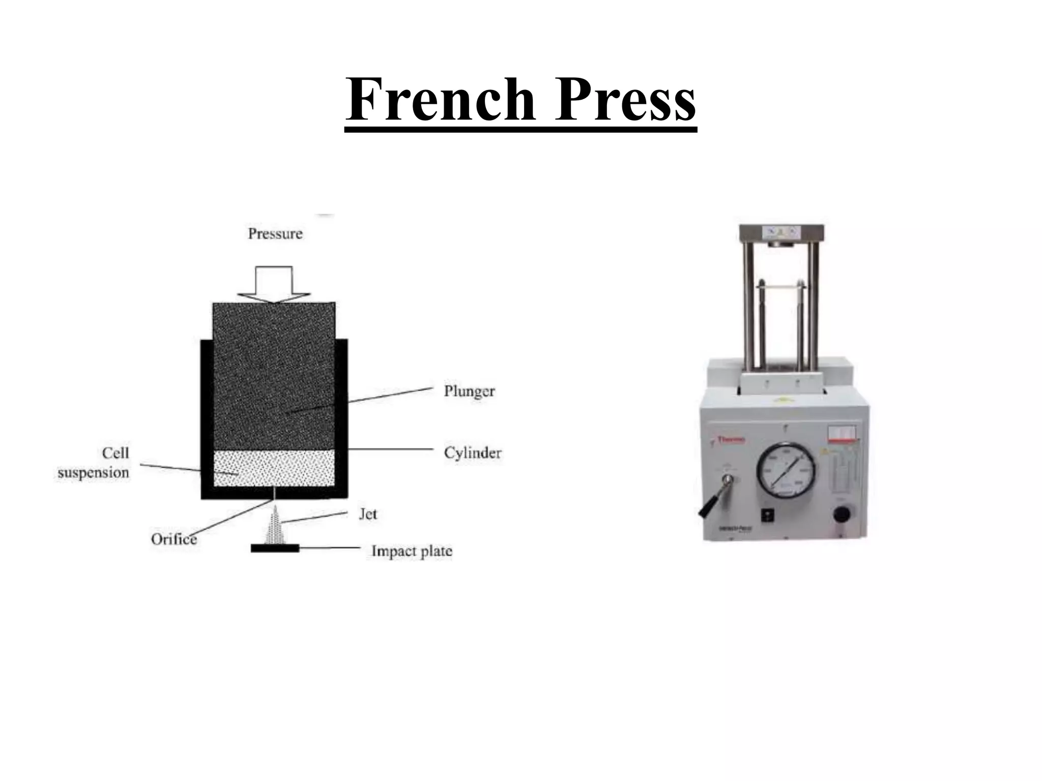 Cell Disruption Strategies in Downstream Processing | PPTX