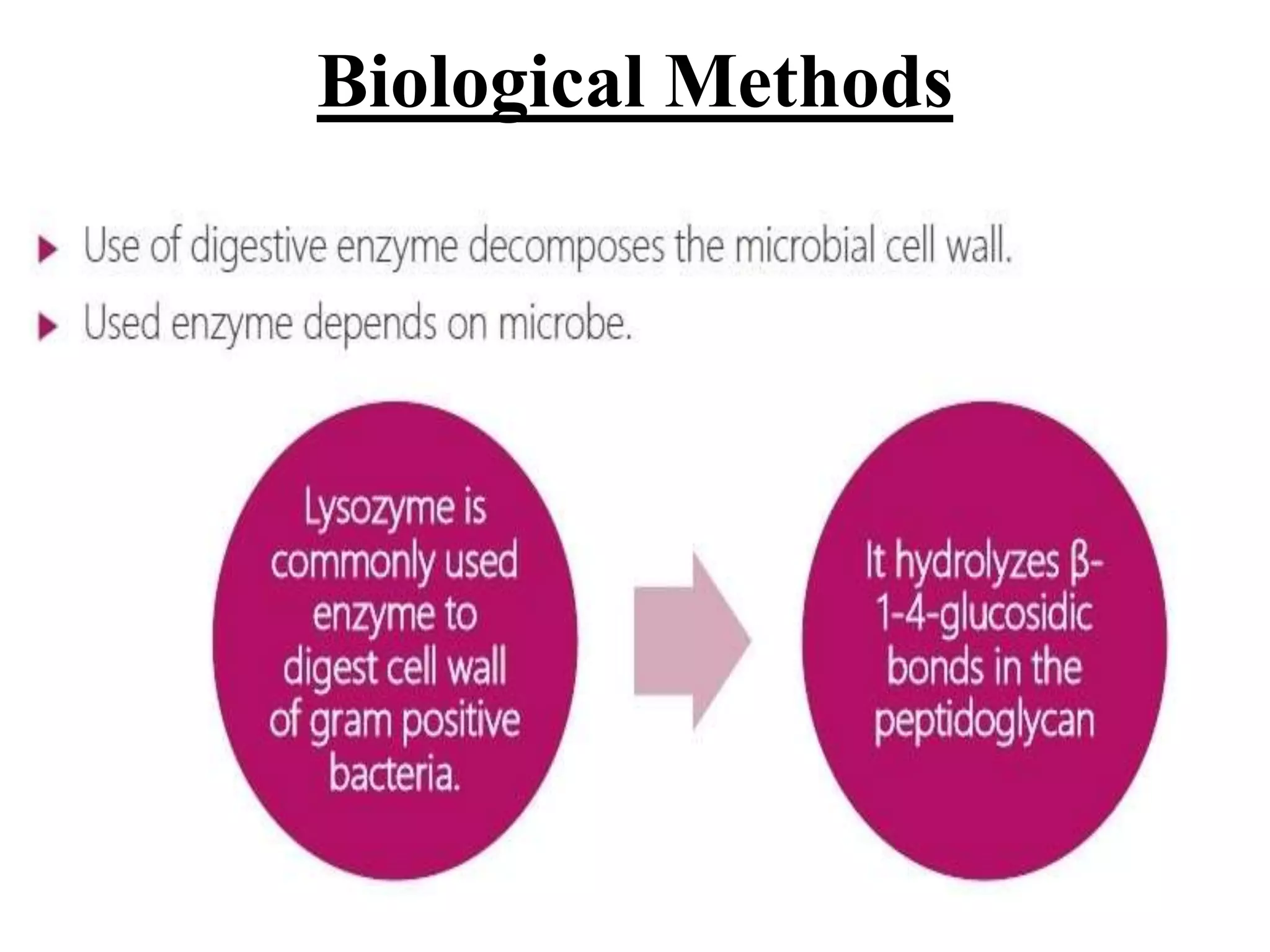 Cell Disruption Strategies in Downstream Processing | PPTX