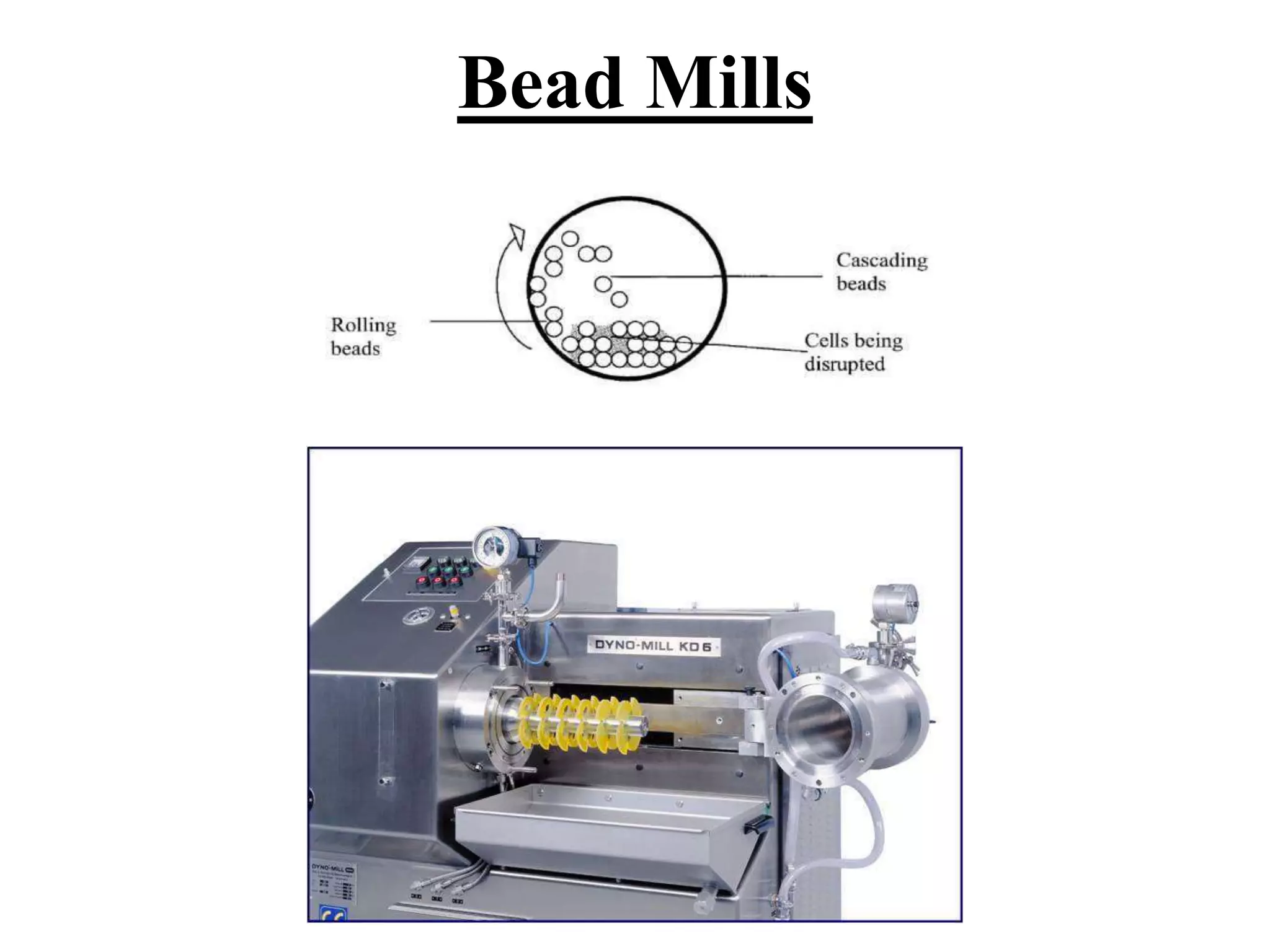 Cell Disruption Strategies in Downstream Processing | PPTX
