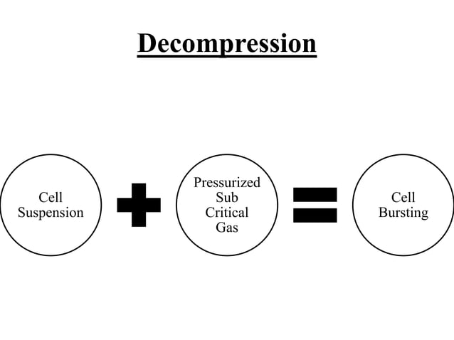 Cell Disruption Strategies in Downstream Processing | PPTX