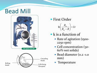Cell distruption | PPTX