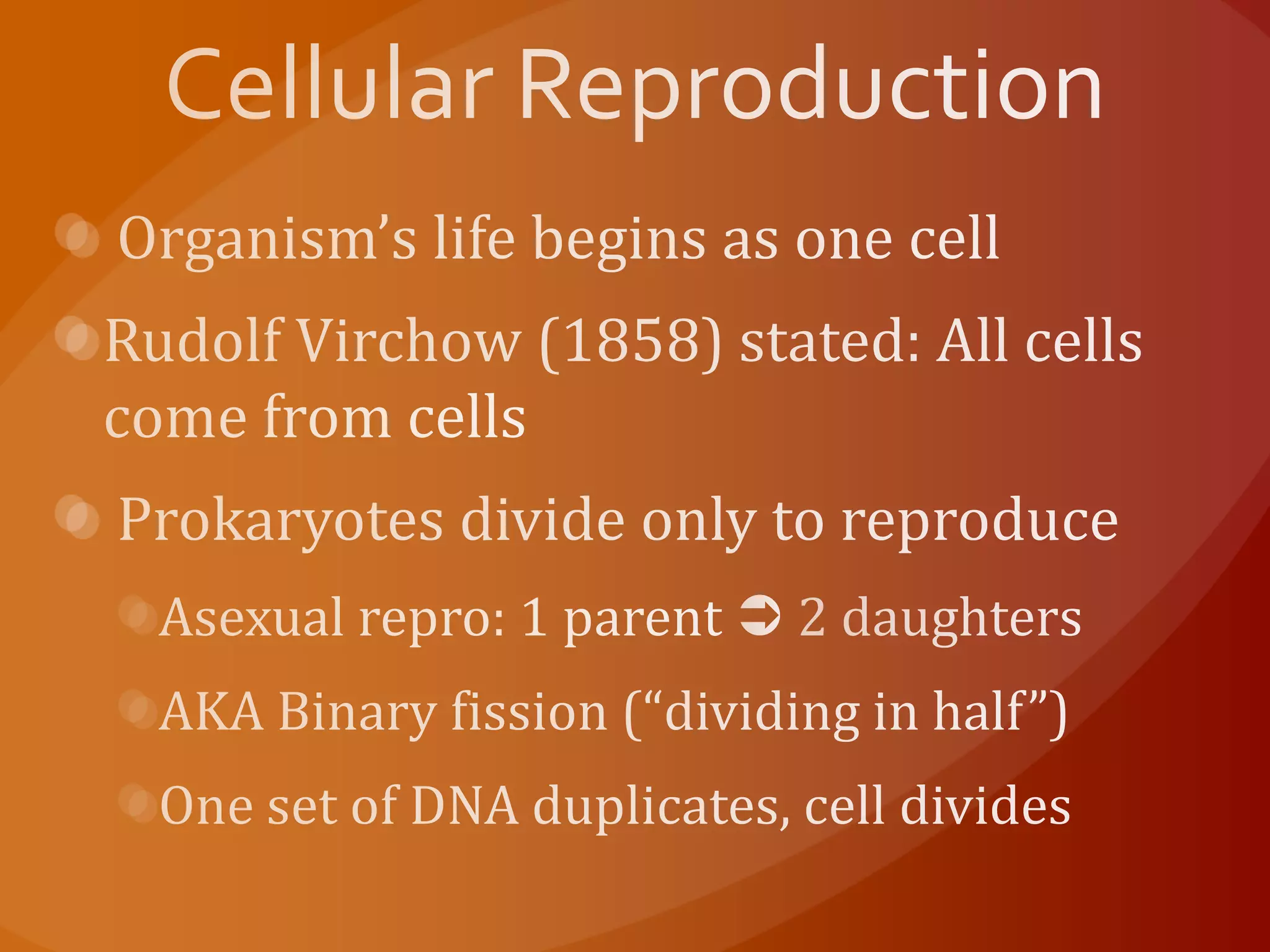 Cell Division/Mitosis | PPTX