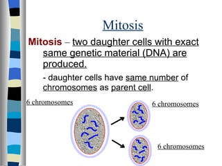 Cell Division | PPT