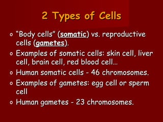 Cell division | PPT