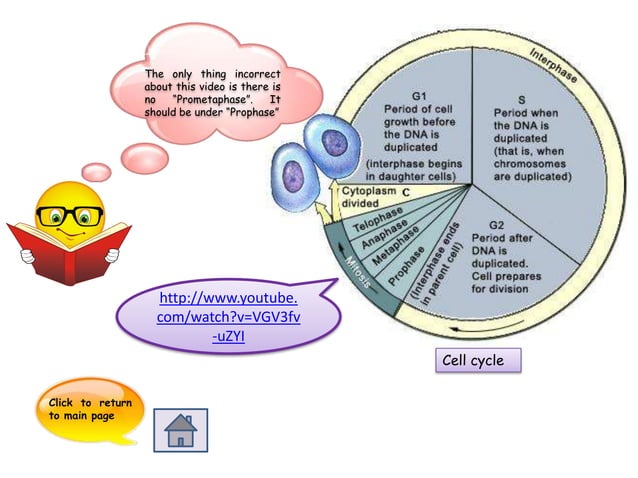 Cell division | PPTX