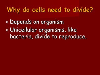 Cell division | PPT