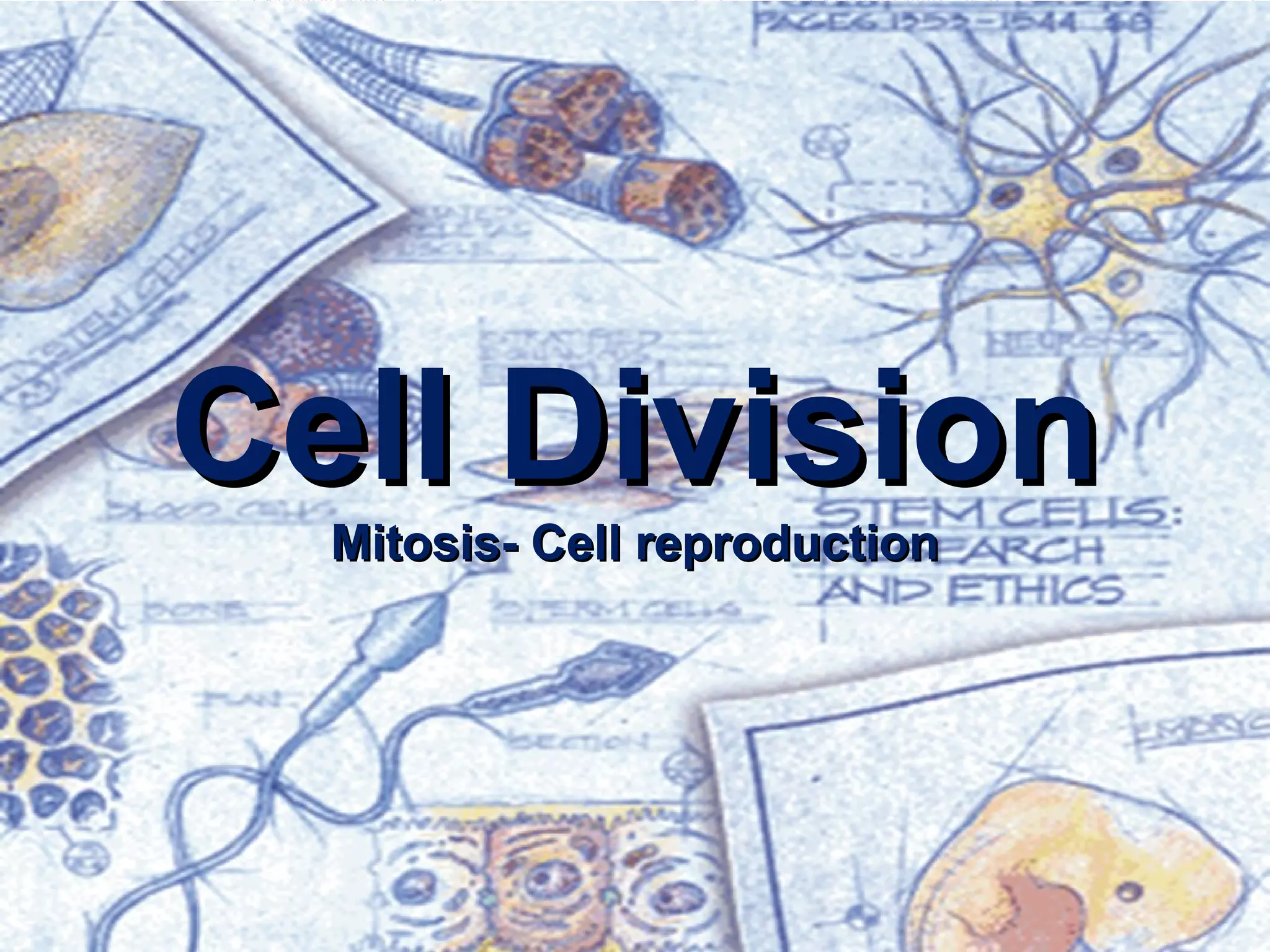 Cell division | PPT