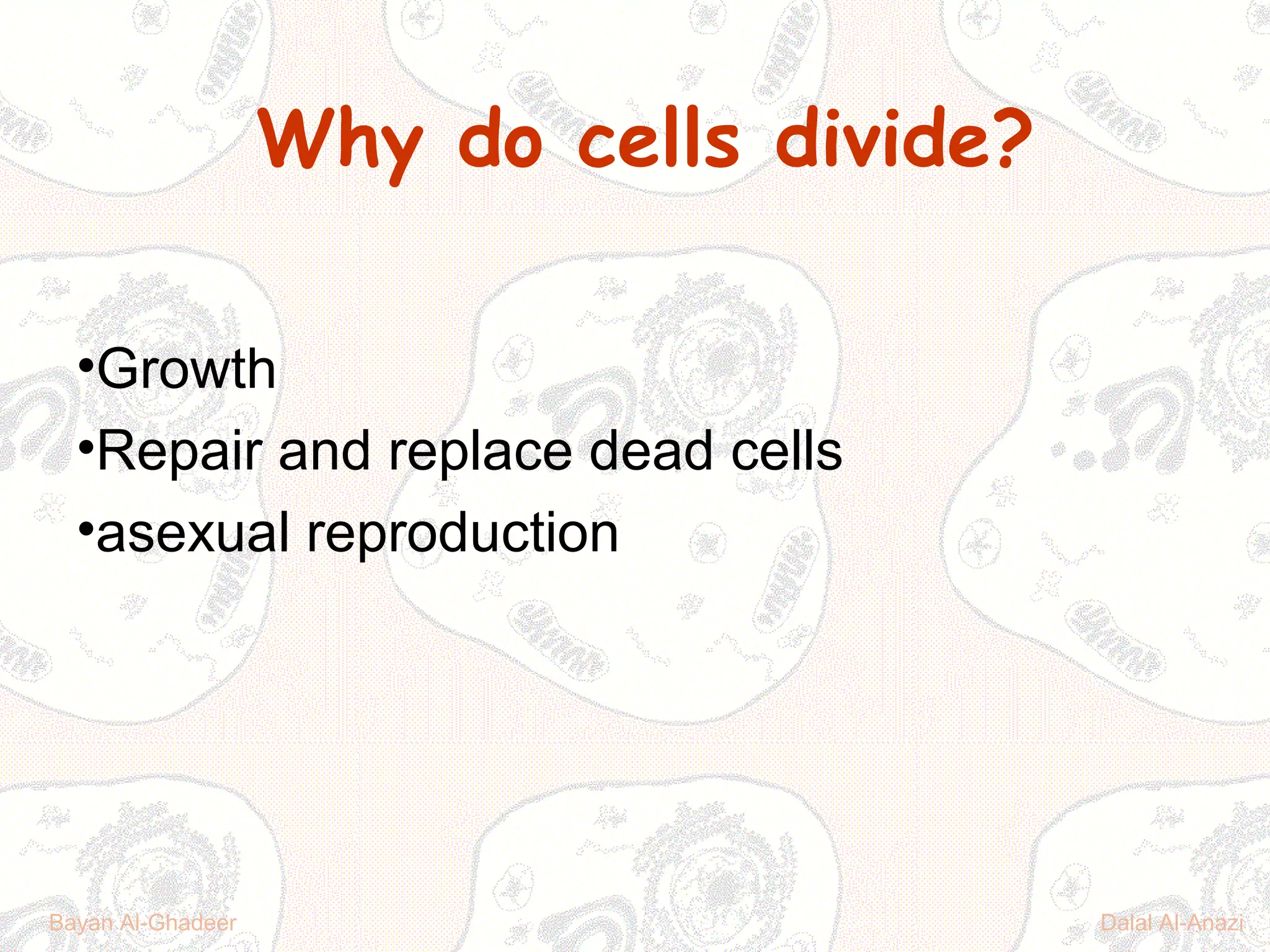 Cell division | PPT