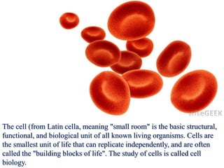 Cell division | PPTX