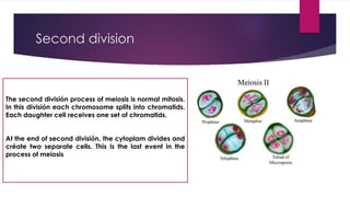 Cell division | PPTX