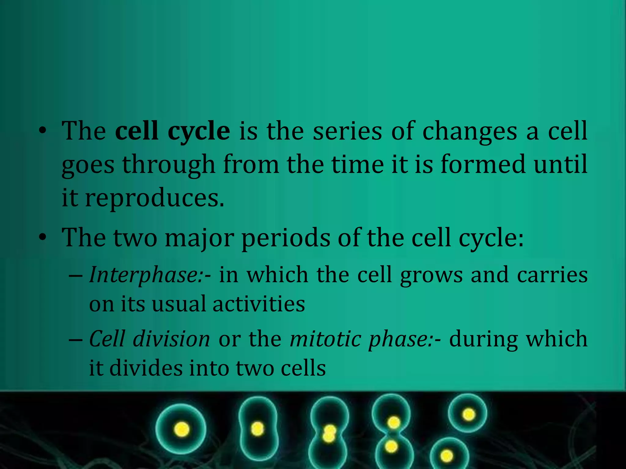 Mitotic Cell division | PPSX