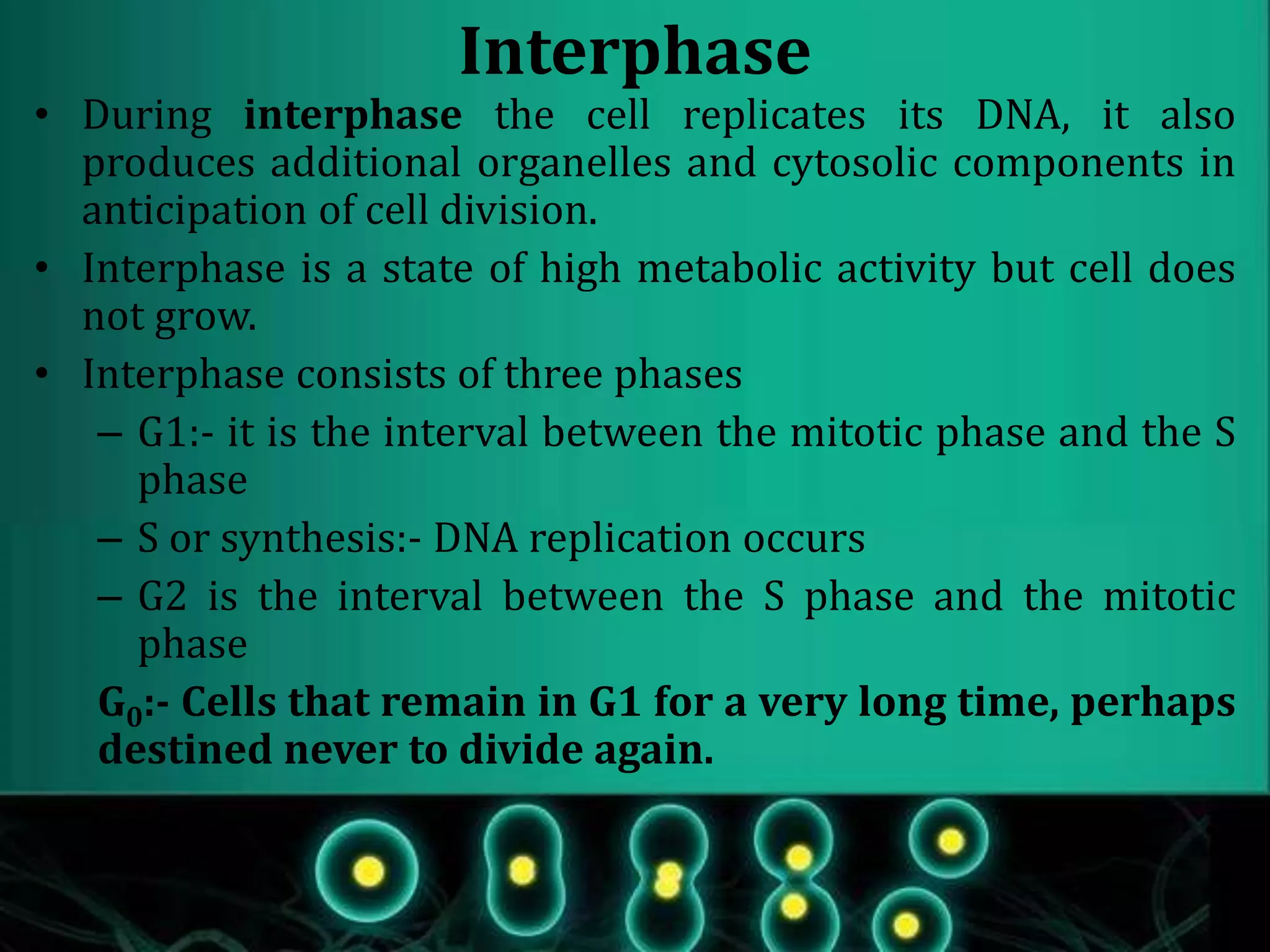 Mitotic Cell division | PPSX
