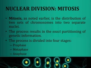 Mitotic Cell division | PPSX