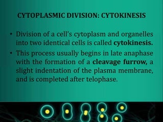 Mitotic Cell division | PPSX