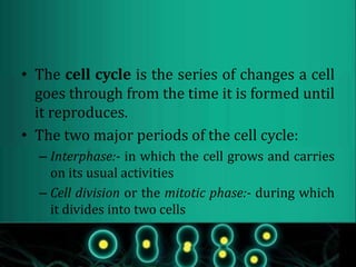 Mitotic Cell division | PPSX