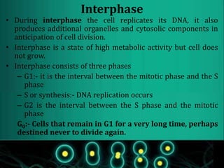 Mitotic Cell division | PPSX