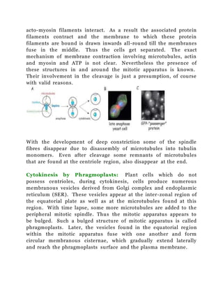 Cell division | DOCX
