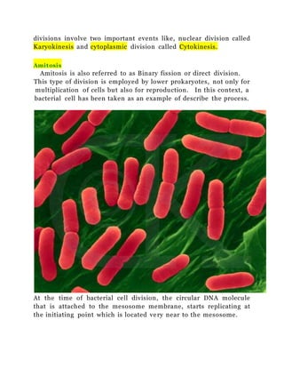 Cell division | DOCX