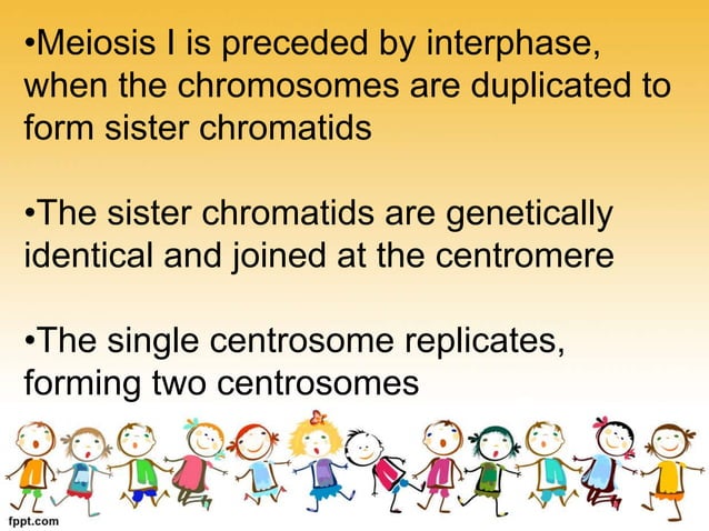 Cell division | PPT