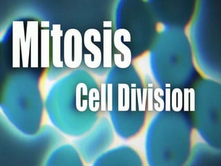 Cell division | PPT