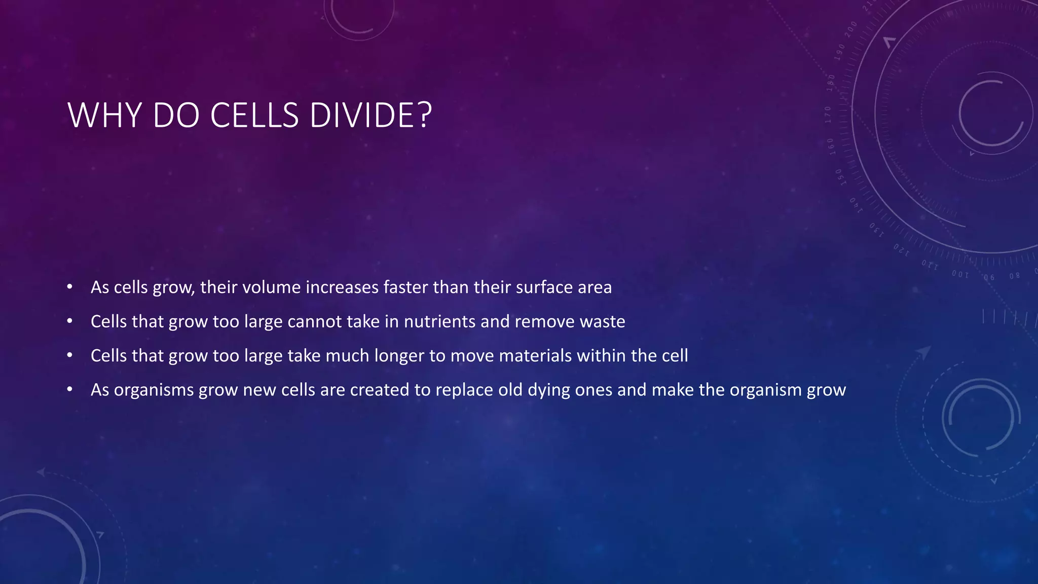 Phases of Cellular Division | PPTX