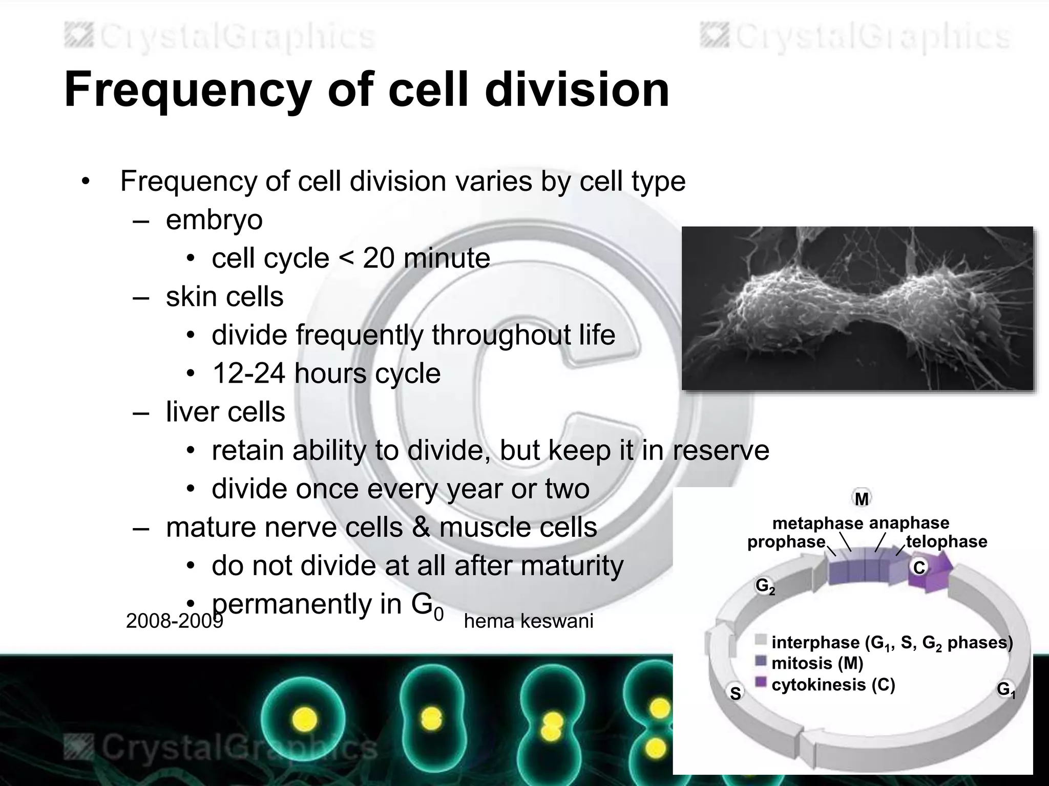 Cell division | PPTX | Biological Sciences | Science