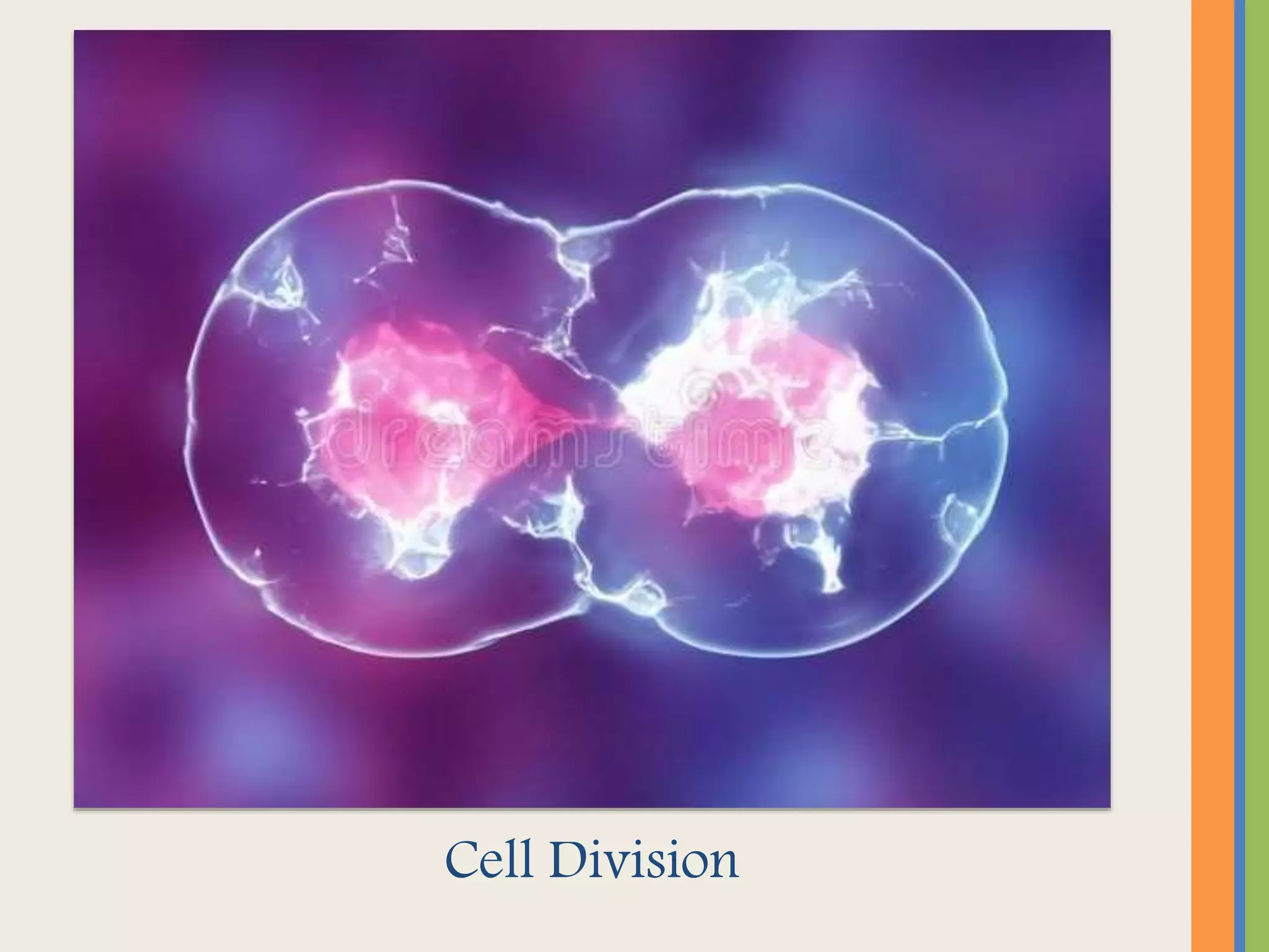 Cell division | PPT