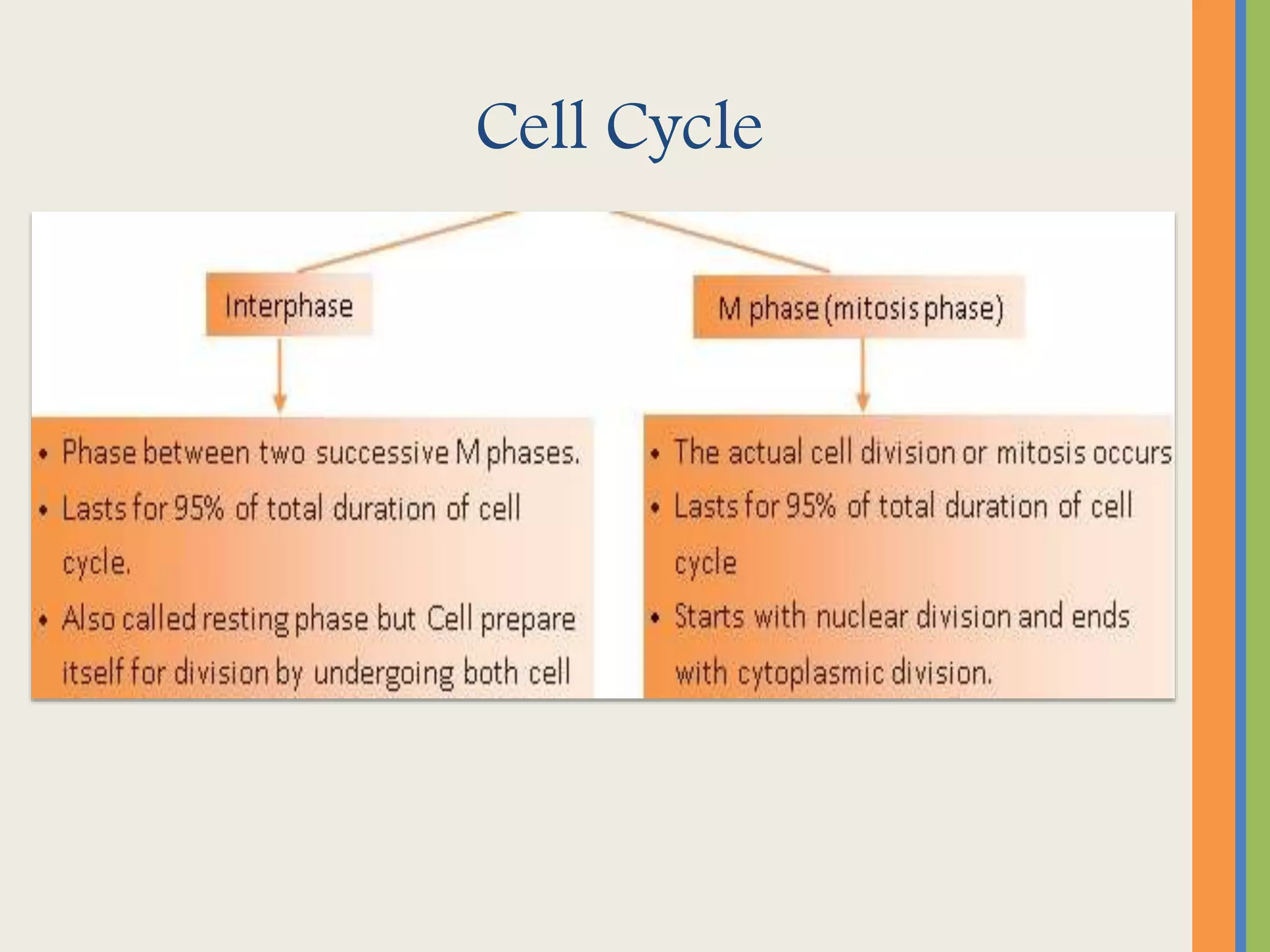 Cell division | PPTX