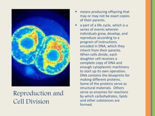 Cell division | PPT