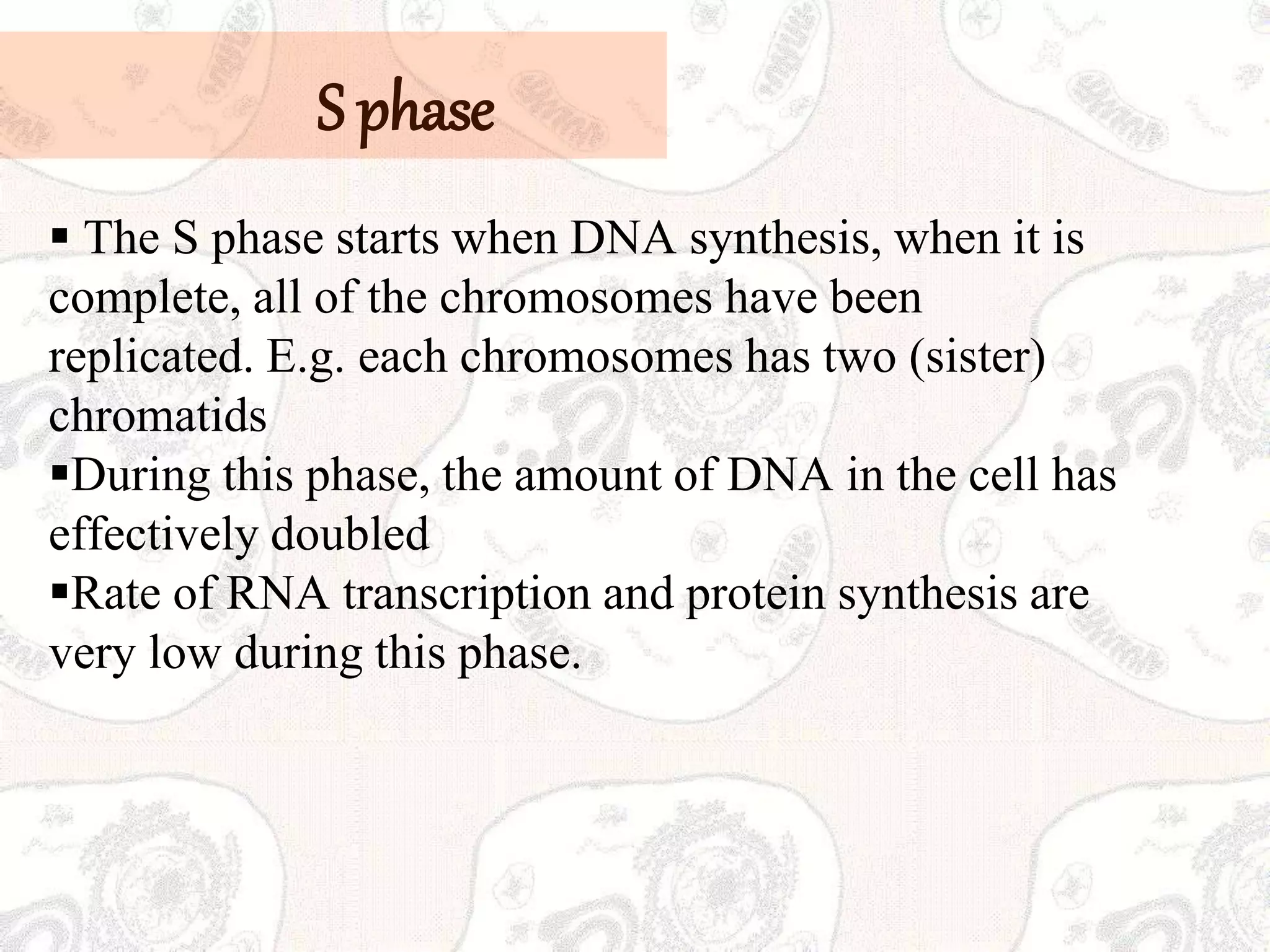 Cell division mitosis | PPTX