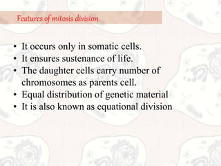 Cell division mitosis | PPTX