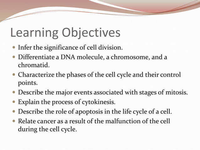 Cell DIVISION/cycle | PPT