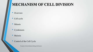 Cell division | PPTX