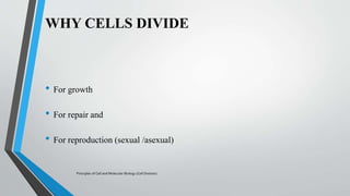 Cell division | PPTX