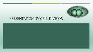 Cell division | PPT