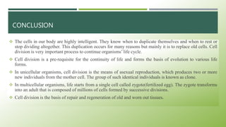 Cell division | PPTX