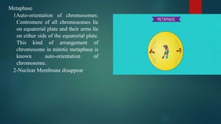 Cell division -Mitosis and Meiosis | PPTX