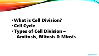 Cell division | PDF