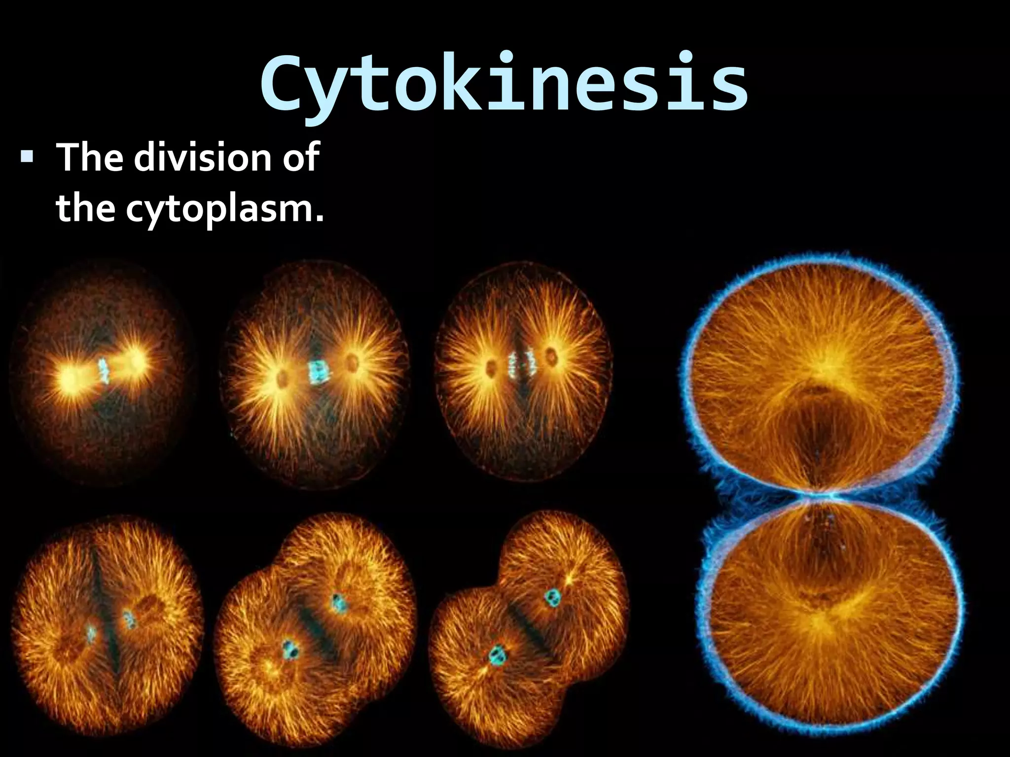 Cell division | PPTX