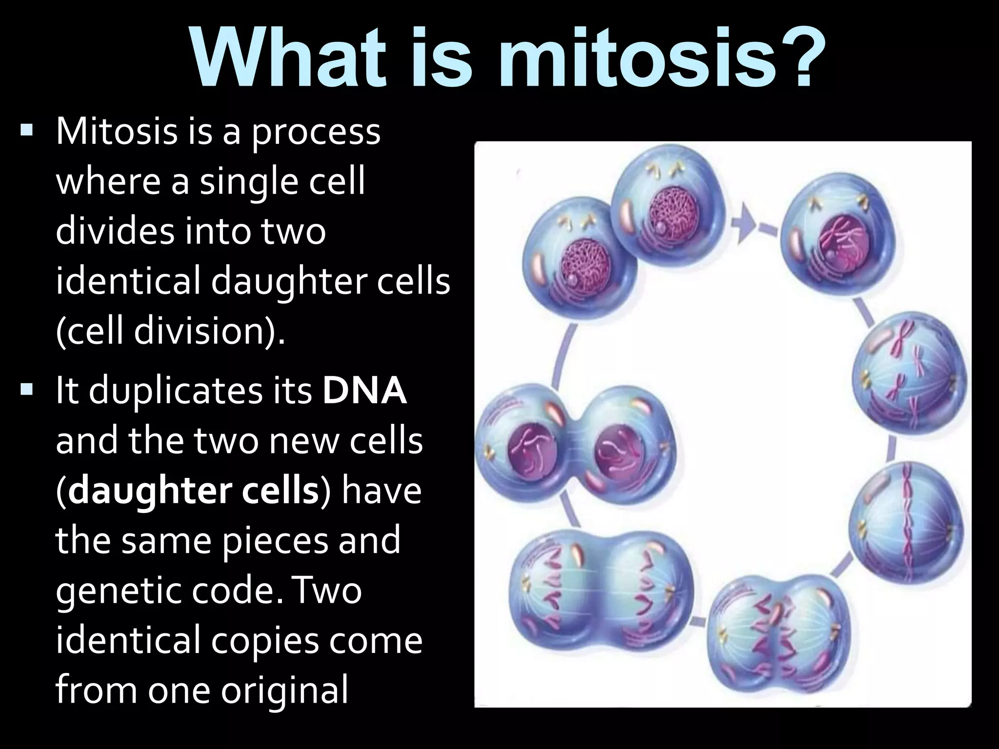 Cell division | PPTX