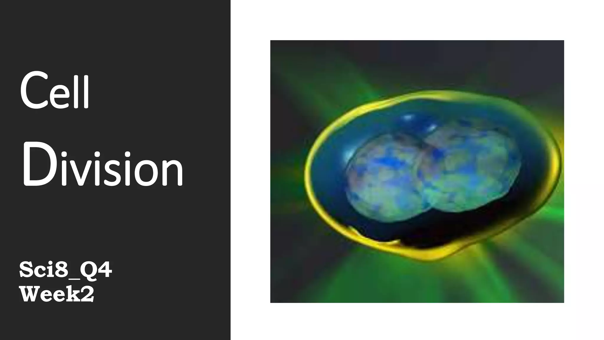 cell division.pptx | Infertility | Reproductive Health