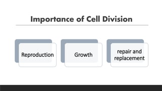 cell division.pptx