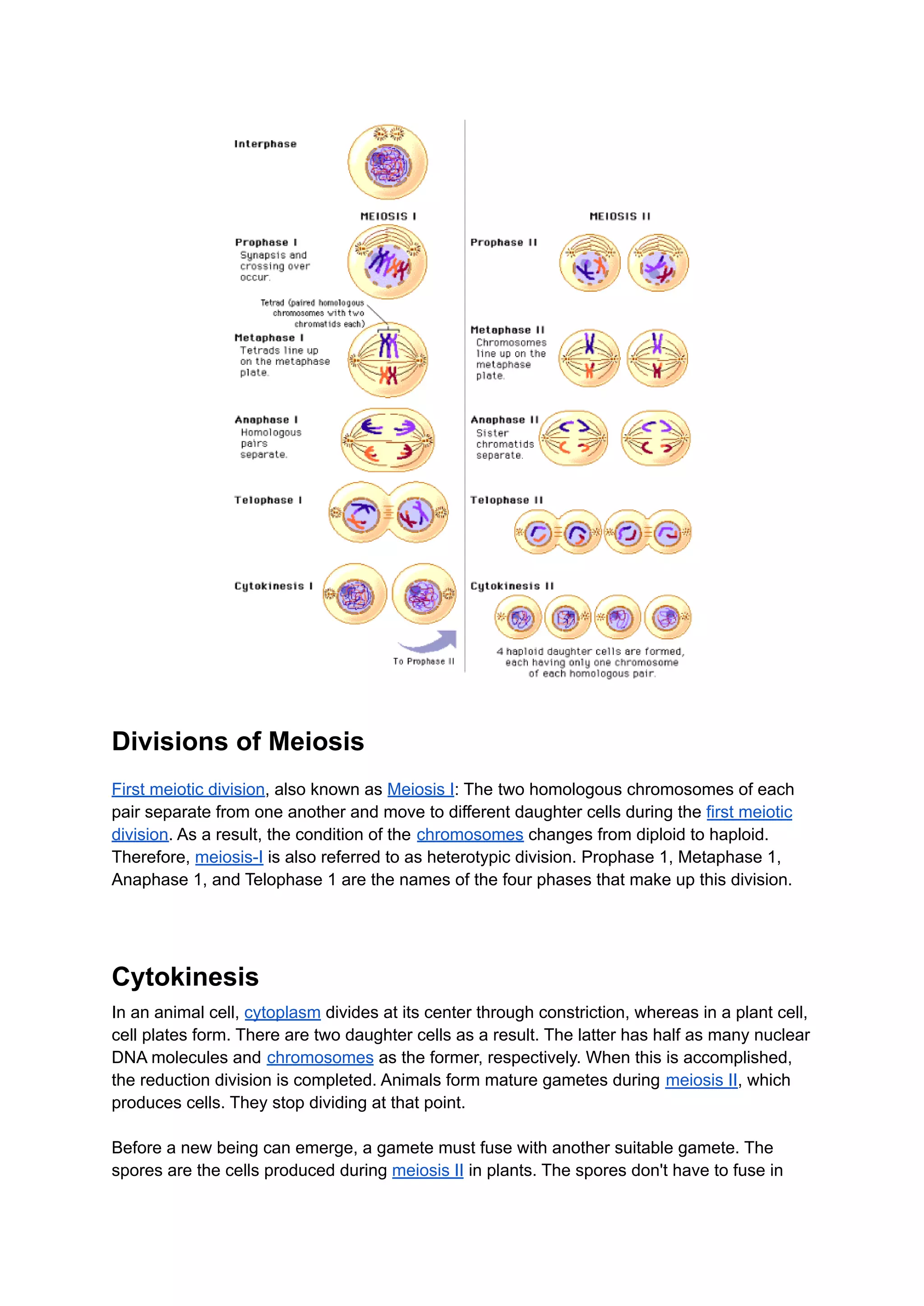 Cell division | PDF