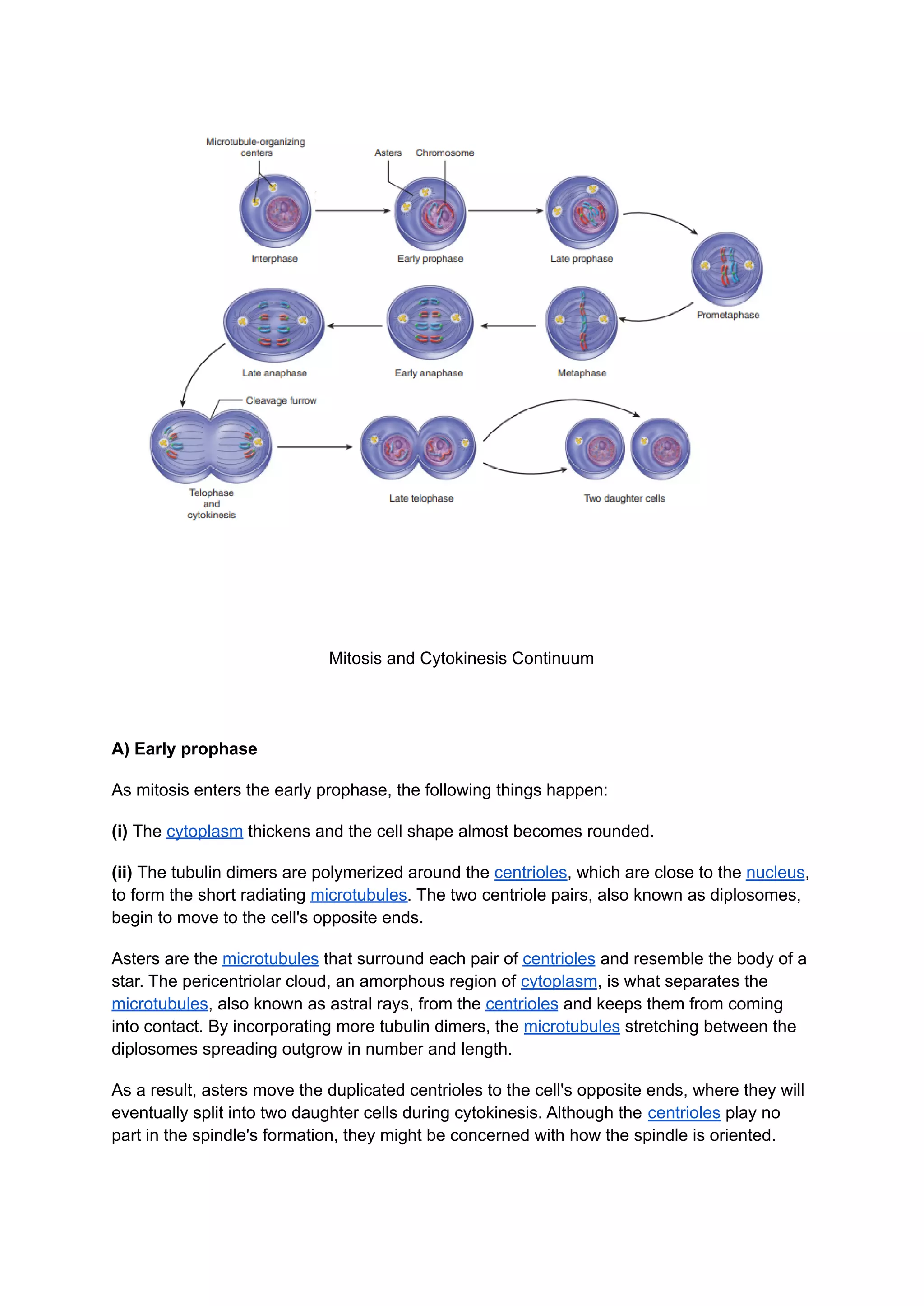 Cell division | PDF