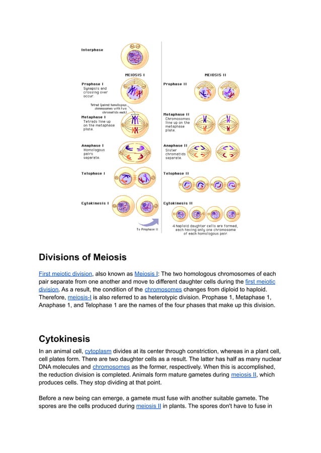 Cell division | PDF