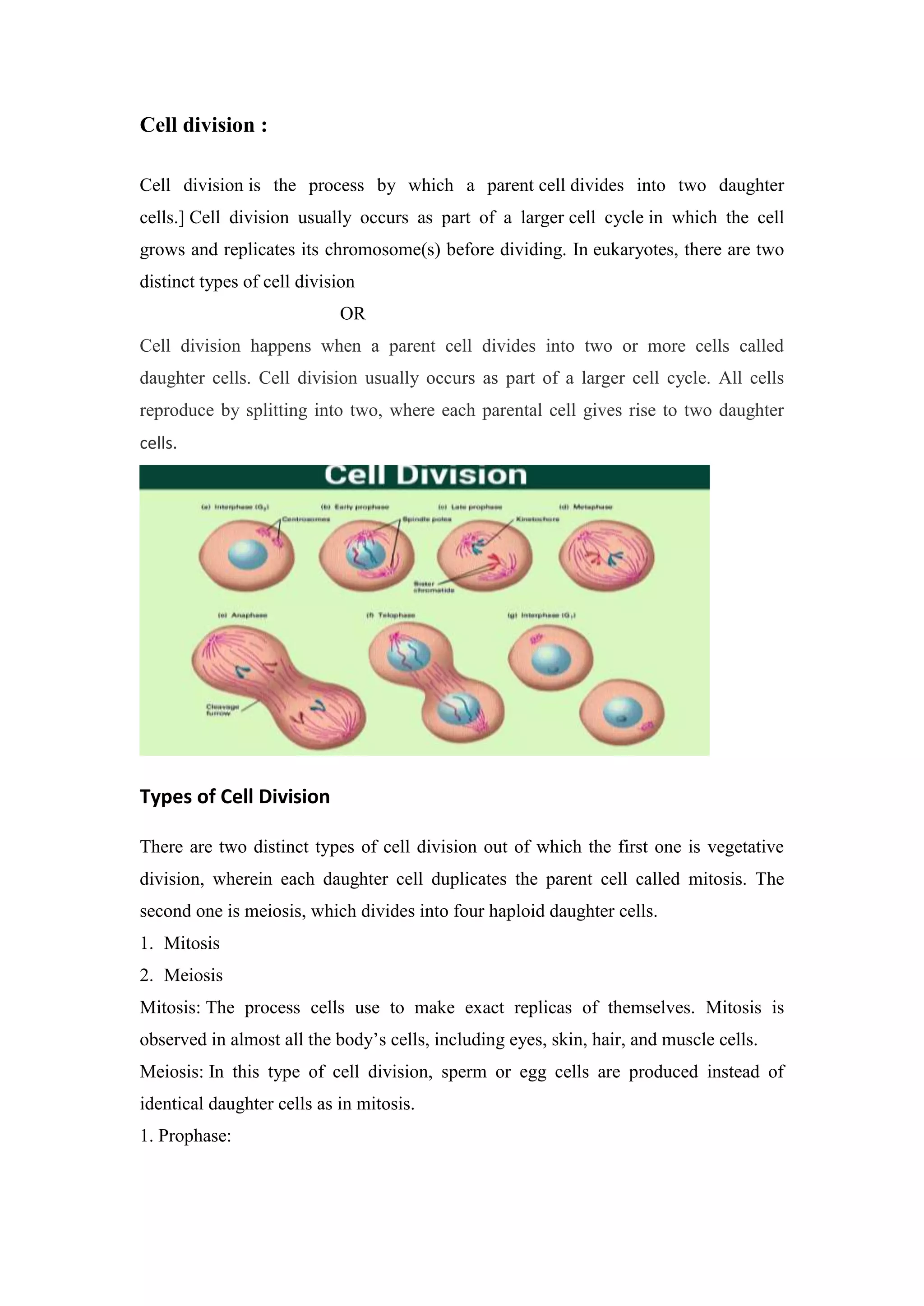 Cell division | PDF