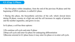 cell division.pptx