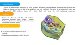 cell division.pptx